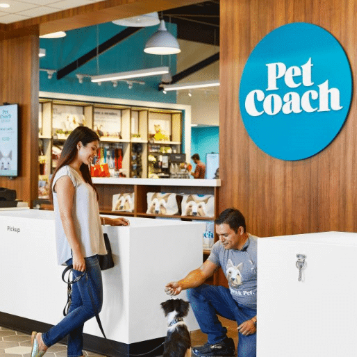 Top Nearshore Software Developers And Tech Squads | Oowlish